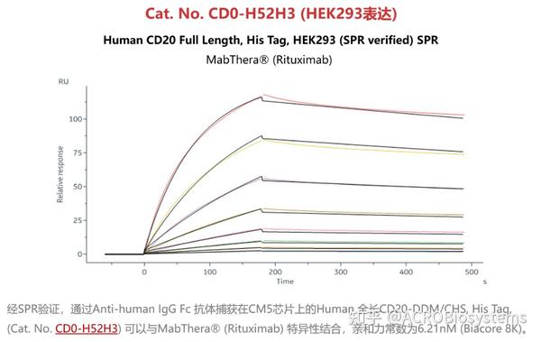 ACRO百普赛斯：靶向CD20、CD3——抗体药物研发的见证者，也是缔造者 - 知乎