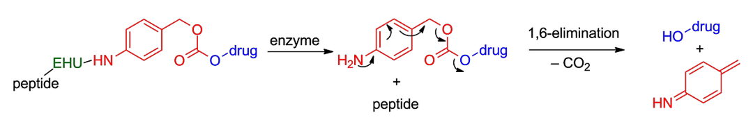 PDC药物的靶向释放原理与代谢产物鉴定研究策略 - 知乎