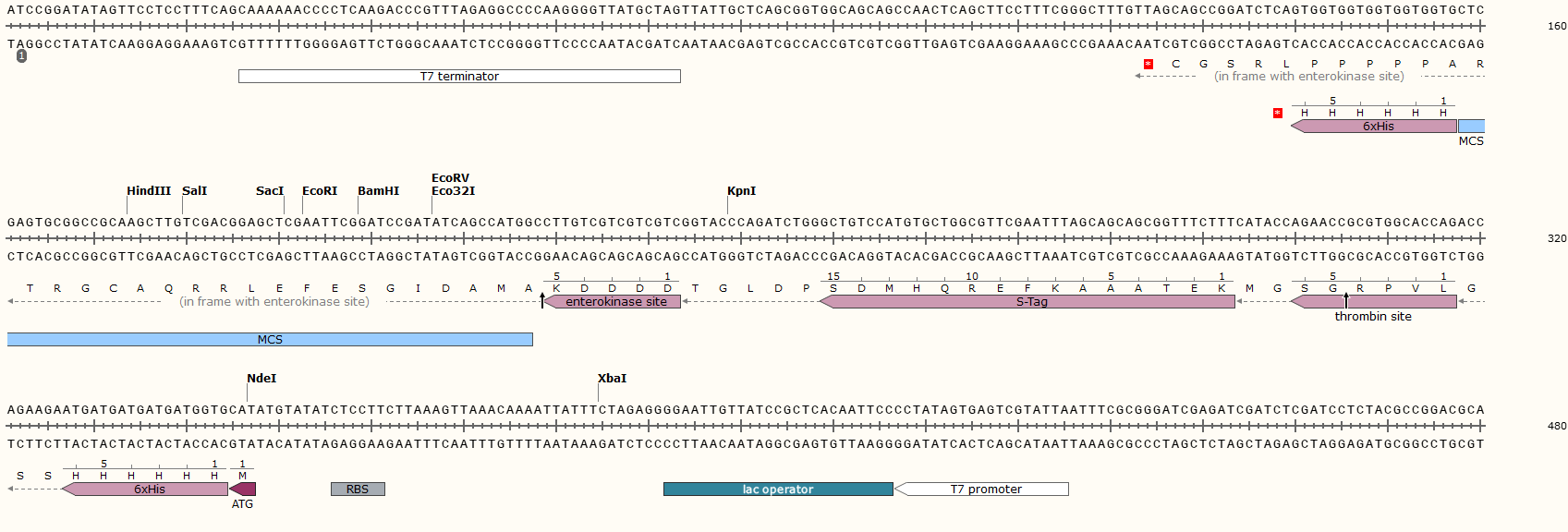 十年超长（>40kb）重组DNA技术经验，尽在此篇！ - 知乎