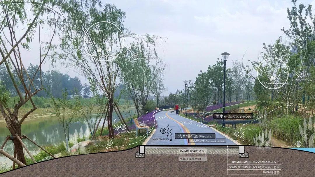 徐州顺堤河公共景观项目--城市阅读艺术公园 - 知乎