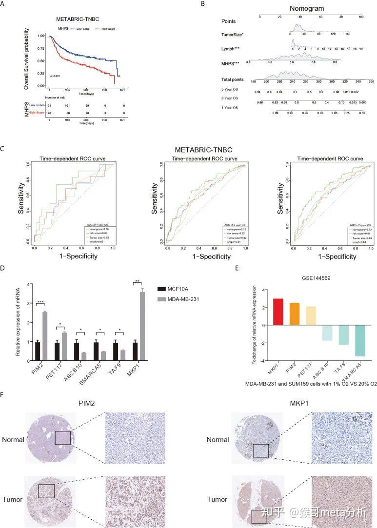 IF8+:m6A 修饰模式的鉴定和 m6A 缺氧预后特征的发展，以表征三阴性乳腺癌的肿瘤微环境 - 知乎