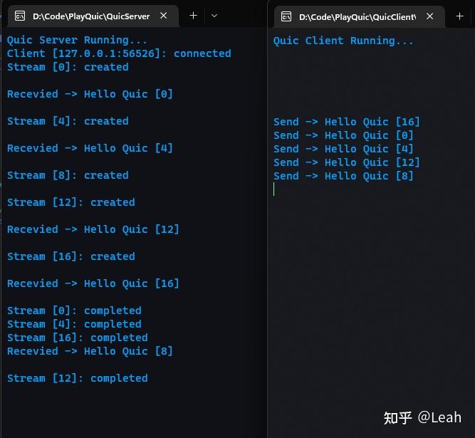 基于 .NET 7 的 QUIC 实现 Echo 服务