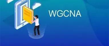 求大神指点如何正确安装R中的WGCNA程序包？万分谢谢！ - 知乎