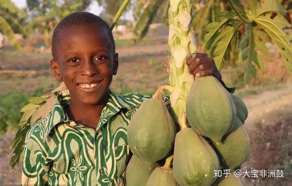 非洲鼓传统曼丁之Moribayassa - 知乎