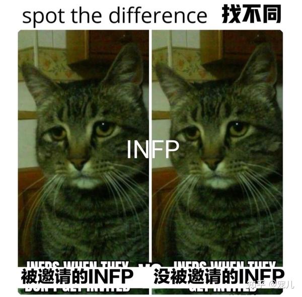 INFP梗图表情包 - 知乎