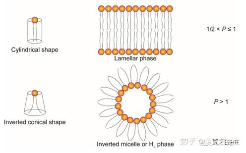 用于RNA递送的脂质和高分子材料 - 知乎