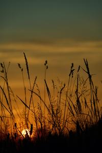 vue runtime源码分析学习——day4：createApp - 知乎