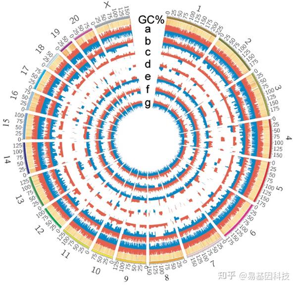 易基因： DNA甲基化差异水平分析中的DMC、DMR、DMG鉴定 | 干货分享 - 知乎