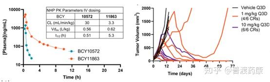 “肽”有前景：环肽及环肽偶联技术 - 知乎