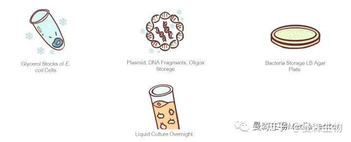合成生物技术的新基建 | biofoundry(生物铸造厂)——Agile Biofoundry、DAMP Lab - 知乎