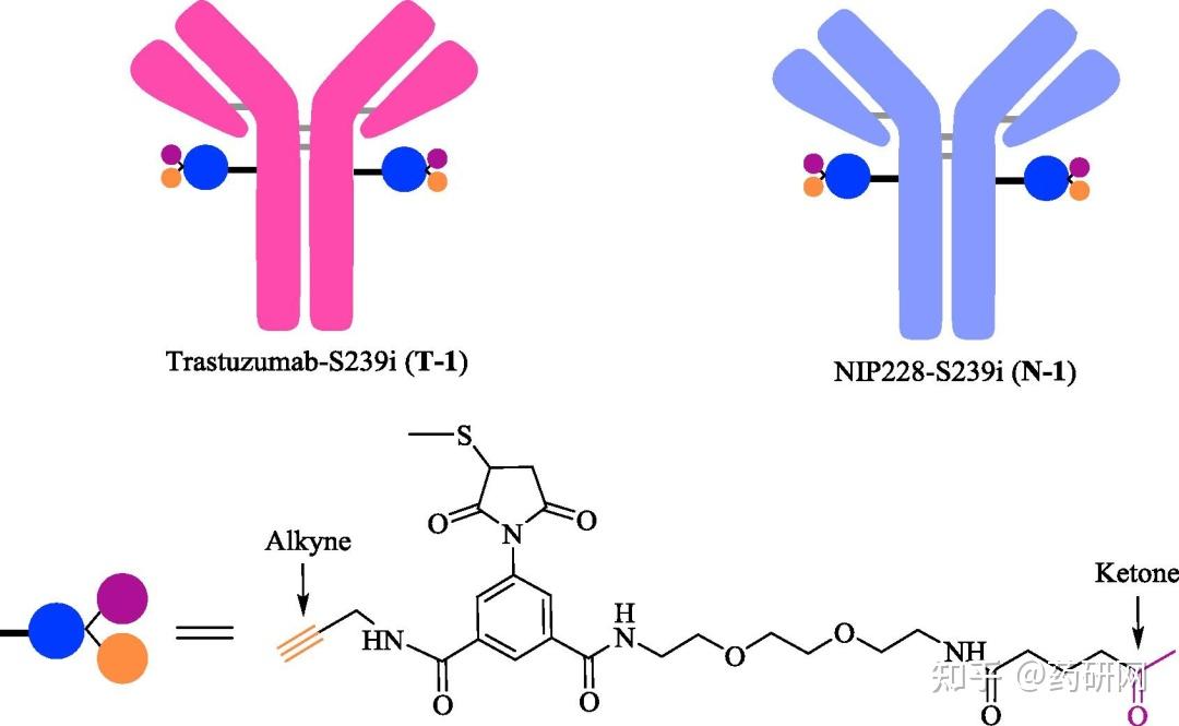双载荷ADC的发展 - 知乎
