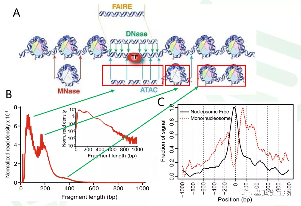 scATAC-seq数据分析之数据质控 - 知乎