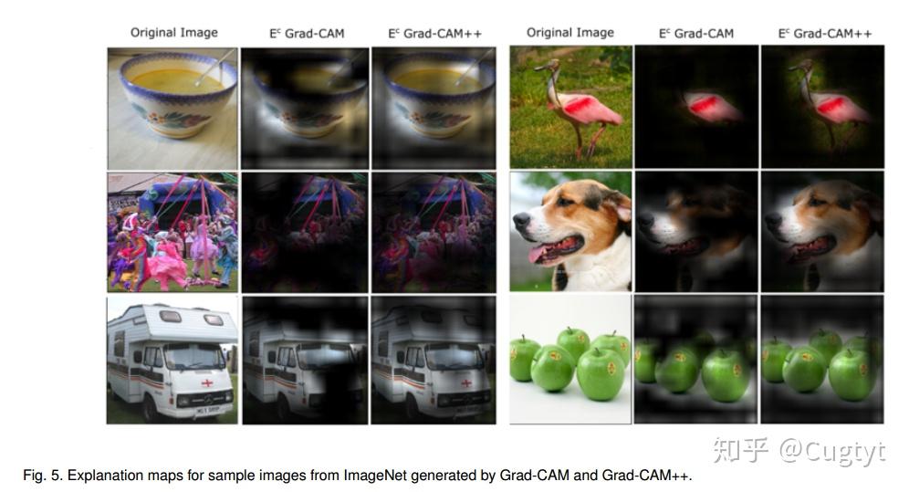 【论文翻译】Grad-CAM++，可视化卷积的升级 - 知乎