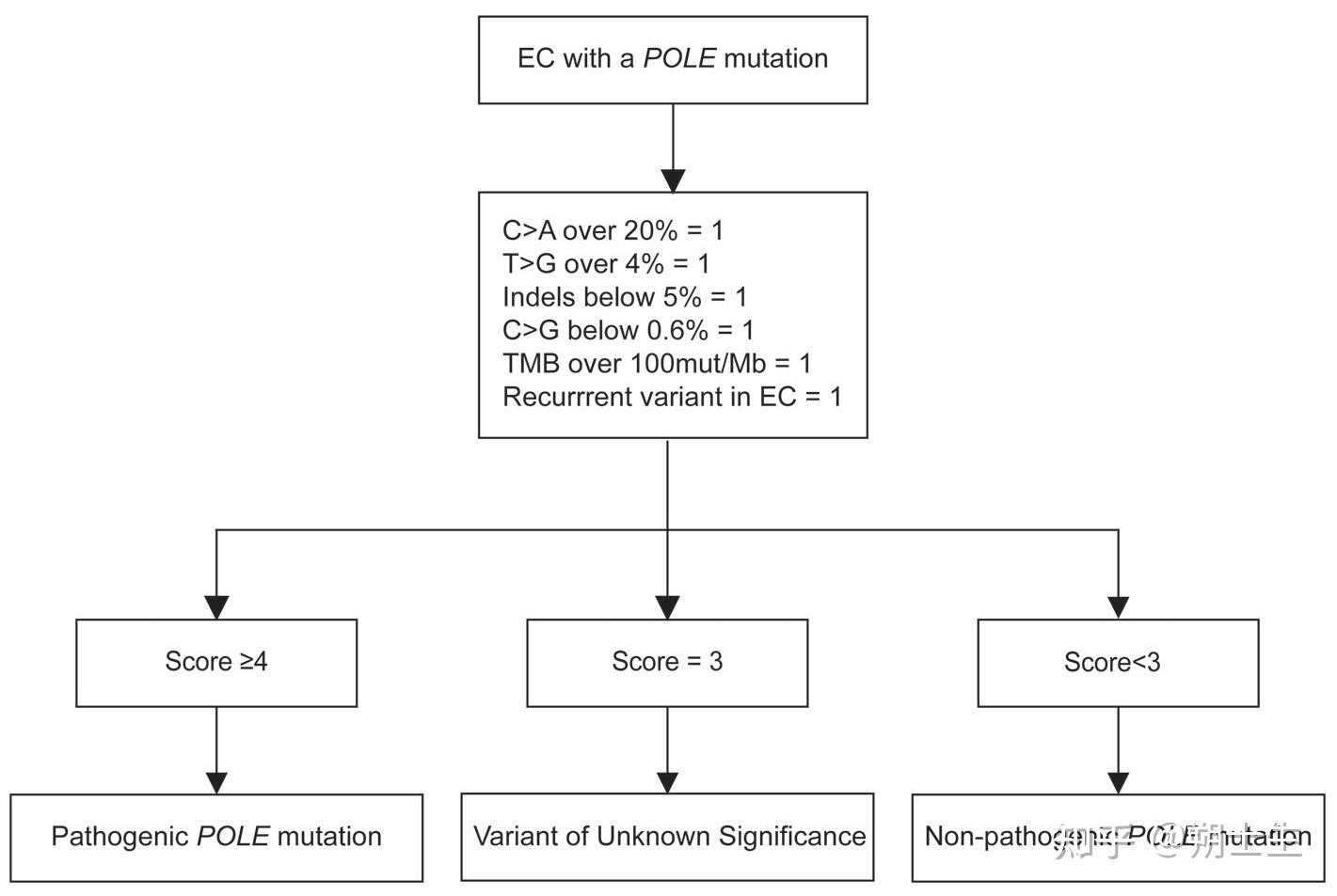 再谈POLE/POLD1 - 知乎