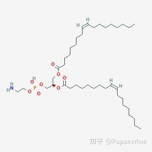 选择性器官靶向（SORT）纳米粒子用于组织特异性mRNA递送和CRISPR/Cas基因编辑（2021.09.07） - 知乎