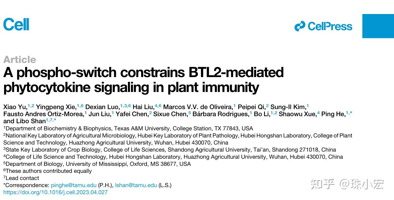 Cell 一个磷酸化开关限制了植物免疫中BTL2介导的植物细胞因子信号传导 - 知乎