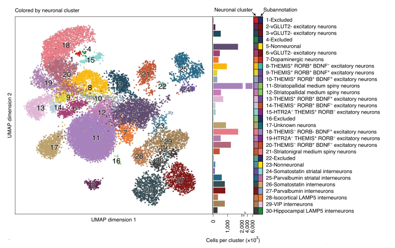 【长文解读】Nat Genet︱阿尔茨海默症和帕金森病的单核苷酸多态性研究, 揭示两种疾病的遗传风险位点的变异 - 知乎