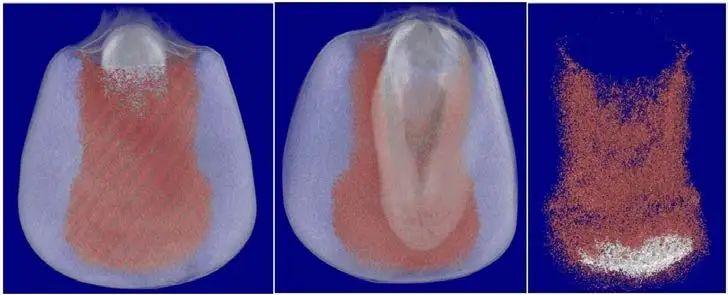 【Simpleware】利用 Micro-CT 技术快速分析玉米籽粒的饱满度特性 - 知乎