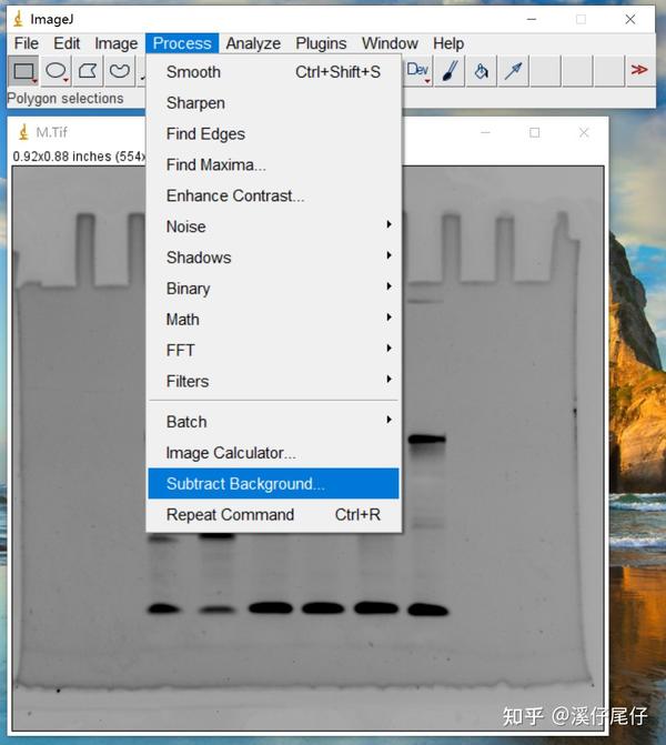 如何使用Image J进行条带灰度分析？ - 知乎