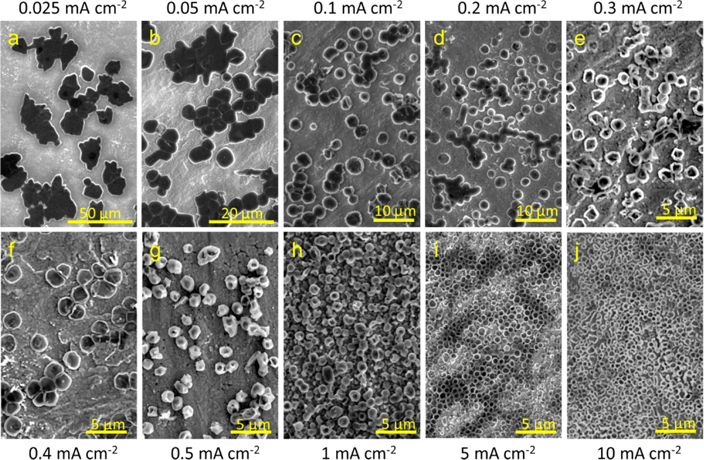 锂枝晶大巡礼系列1——模型的力量 - 知乎