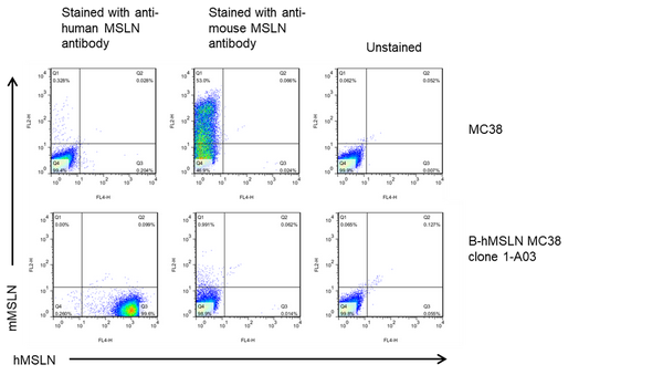 扬帆起航：MSLN靶点治疗带来抗癌治疗“新生机” - 知乎