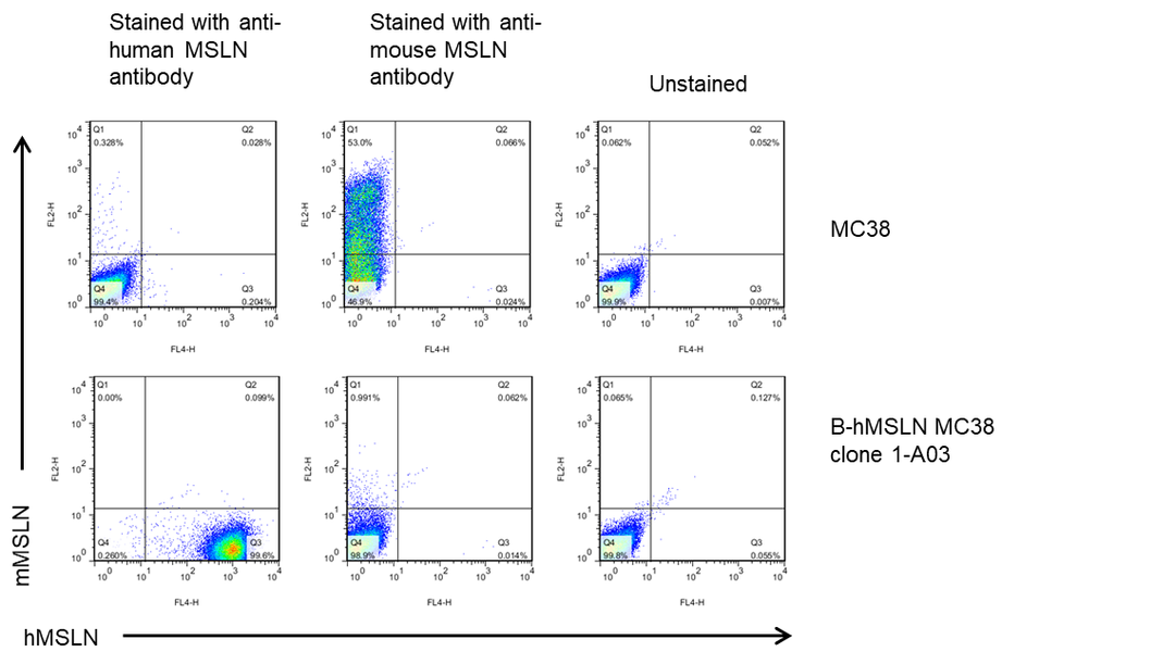 扬帆起航：MSLN靶点治疗带来抗癌治疗“新生机” - 知乎
