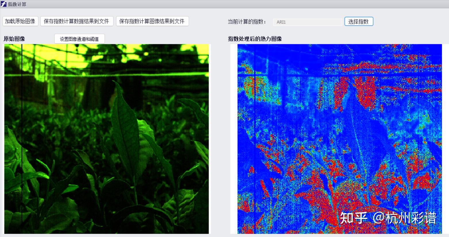 FigSpec成像高光谱相机FS-23户外拍摄茶叶光谱特征实例 - 知乎