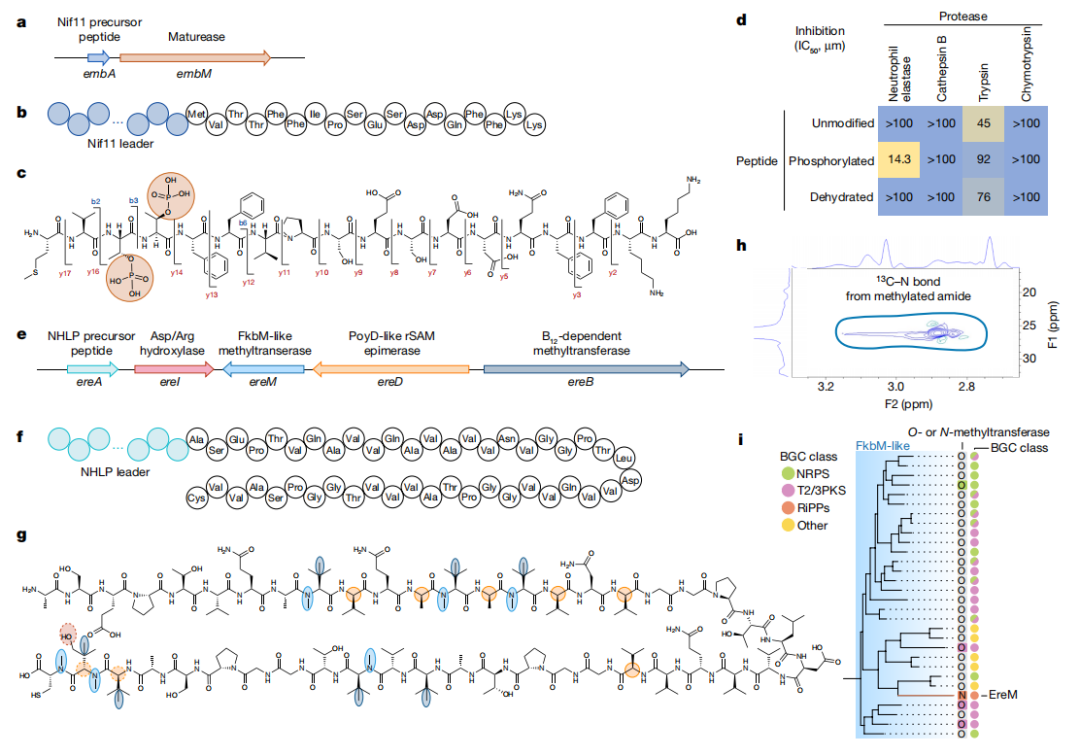 Nature |HiFi宏基因组助力挖掘海洋“新”微生物组 - 知乎