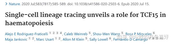 Single-cell lineage tracing unveils a role for TCF15 in haematopoiesis - 知乎