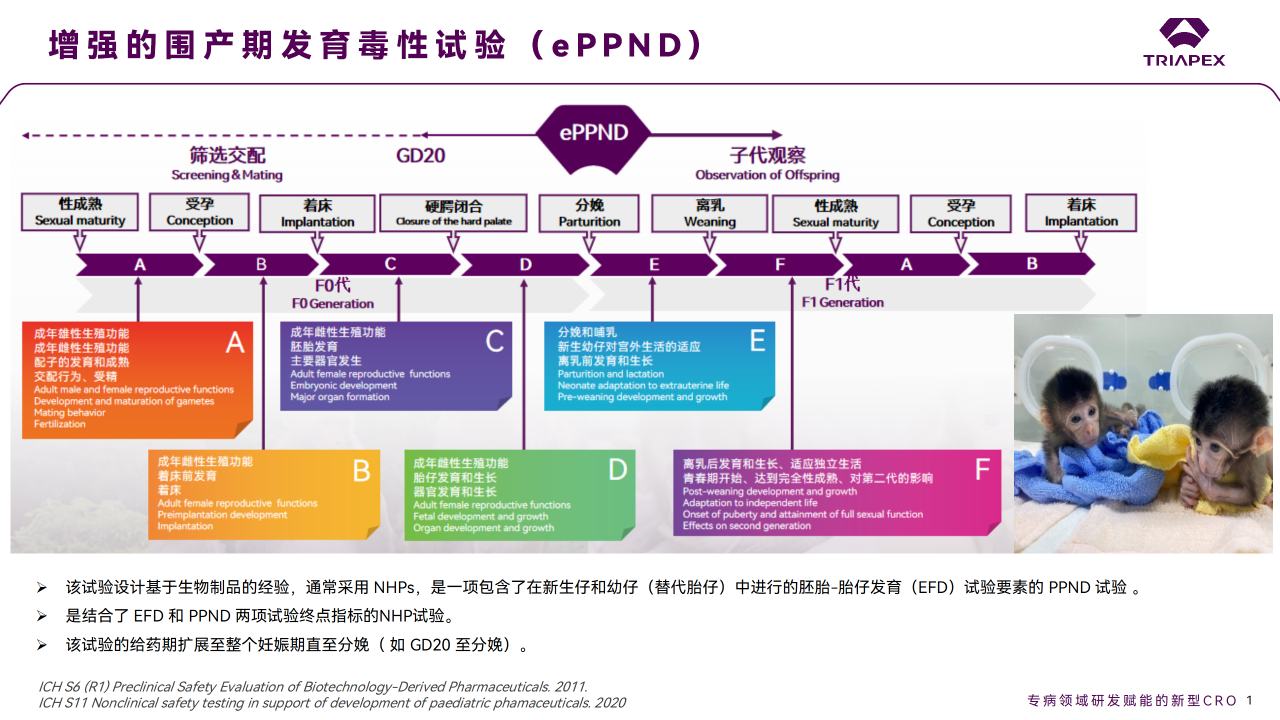 NHP ePPND试验的挑战及应对策略 - 知乎