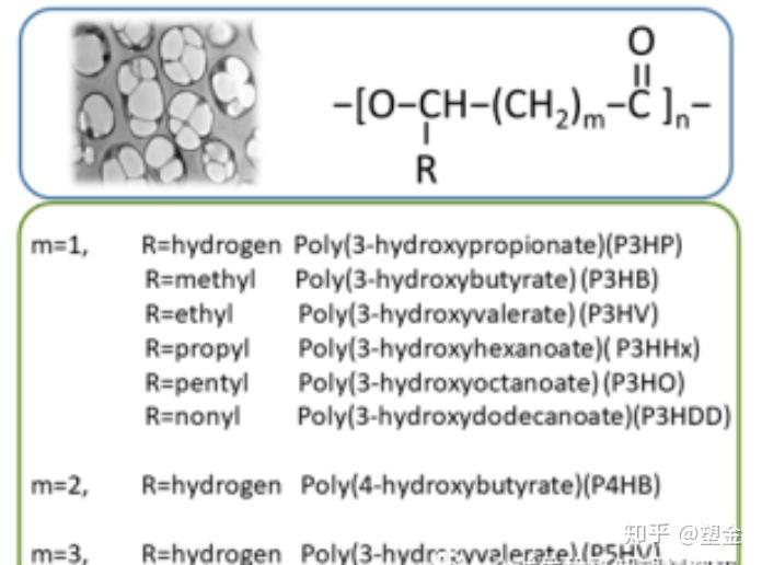 生物基生物降解材料聚羟基烷酸酯（PHA）的介绍 - 知乎