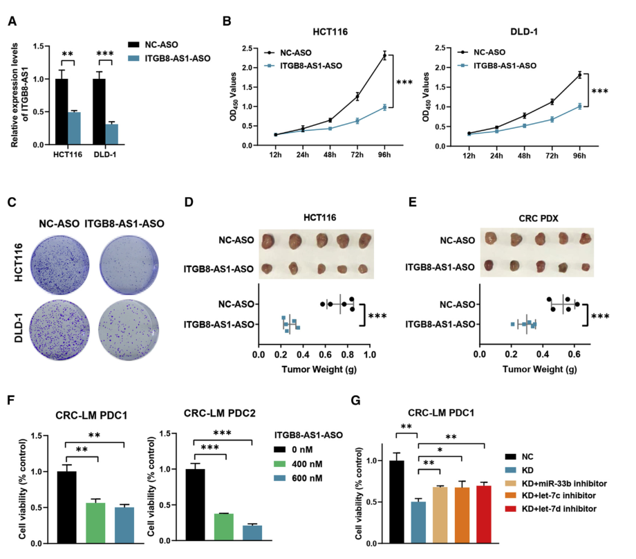 文献精读{IF＞10ceRNA海绵机制}：课题框架 - 知乎