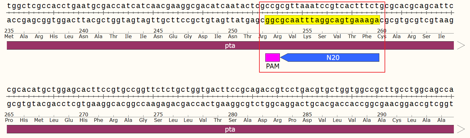 有了这个教程，新手也能轻松搞定大肠杆菌基因编辑 - 知乎