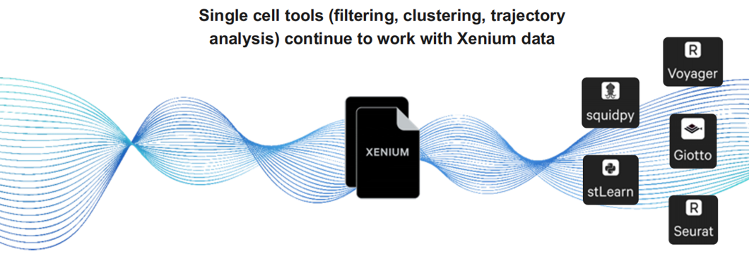 什么，你还没用上Xenium？快来看看最近大热的【Xenium空间原位分析】 - 知乎