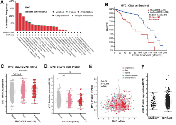 Cell Death Differ︱龙建纲/刘健康/张令强合作报道前列腺特异性癌基因OTUD6A促进前列腺癌发生机制 - 知乎