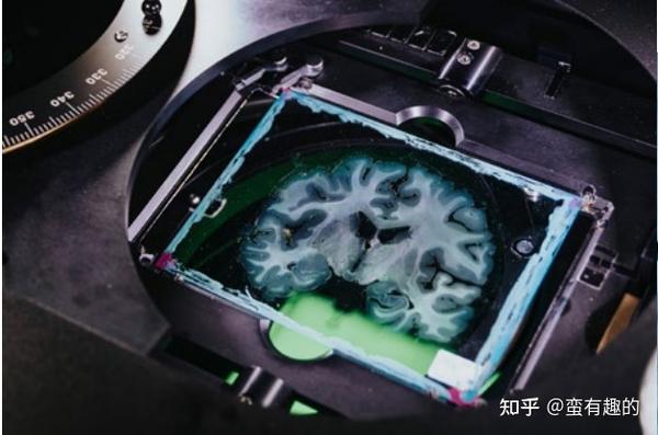 欧盟脑计划(Human Brain Project)-Project structure - 知乎