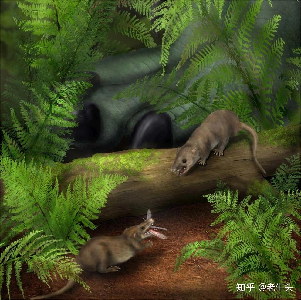 古生物新闻（2023年4月10日-4月23日） - 知乎