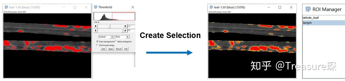 ImageJ实用教程——颜色区域提取（案例分析篇） - 知乎
