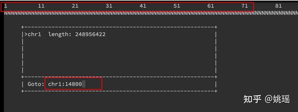 SAMtools-为什么它是生物信息学必备工具？ - 知乎