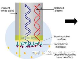 ForteBio Octet分子相互作用 - 知乎