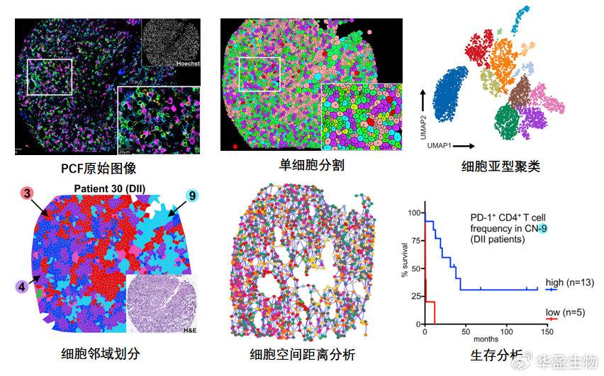 华盈生物获得美国Akoya认证的PhenoCycler-Fusion（原CODEX）技术服务商 - 知乎