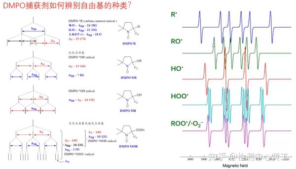 【干货】EPR的介绍、基本原理以及对应的不同自由基信号峰 - 知乎
