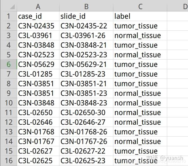 CLAM: A Deep-Learning-based Pipeline for Data Efficient and Weakly Supervised Whole-Slide-level ...