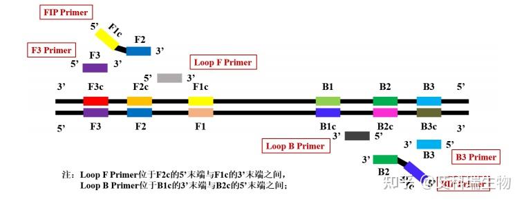 来了来了，全方面get—— LAMP技术 - 知乎