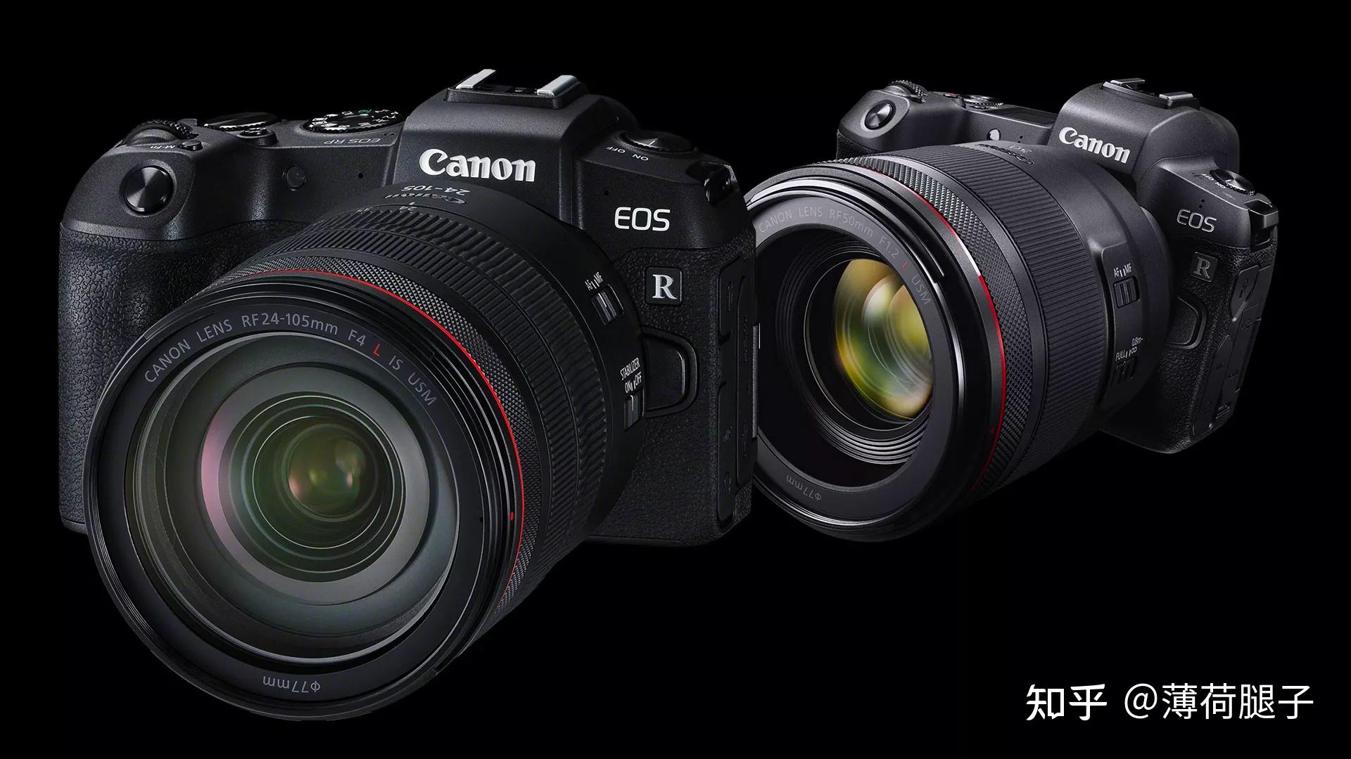 佳能 EOS R 和 EOS RP 两者有什么差别？哪款值得入手？ - 知乎