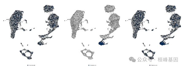 SCS【39】单细胞转录组之降维散点图的美化 (SCpubr) - 知乎