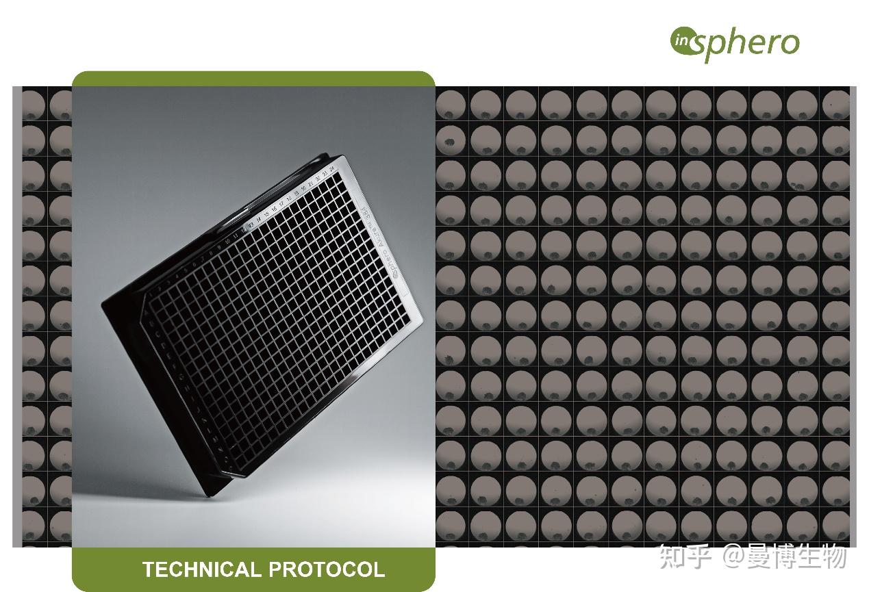 使用Akura系列培养板开展肿瘤微球无支架3D细胞培养 - 知乎