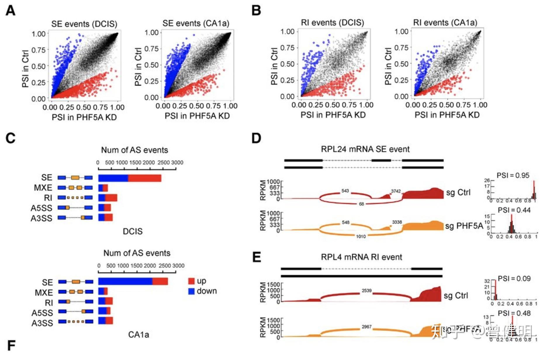 基于bam文件做可变剪切的软件leafcutter和rMATS的比较 - 知乎