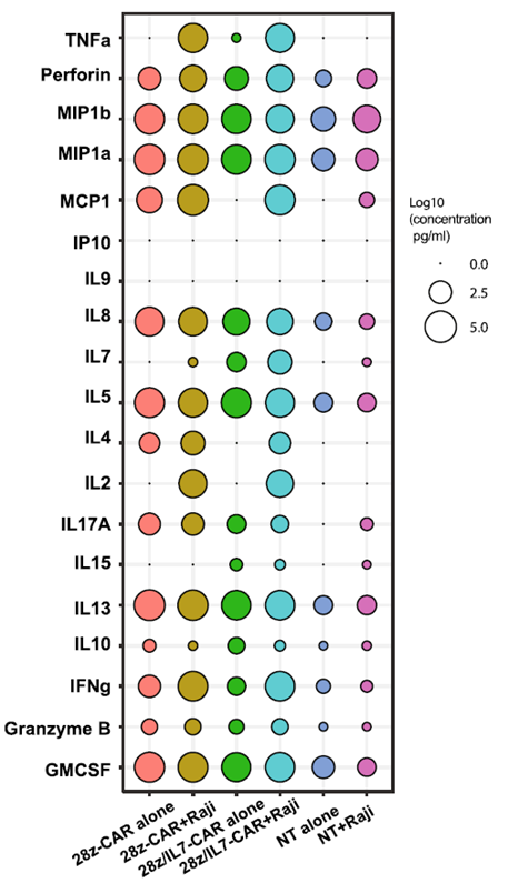 文献解读 | IL-7转基因调节CAR-T细胞抗肿瘤持久性研究 - 知乎