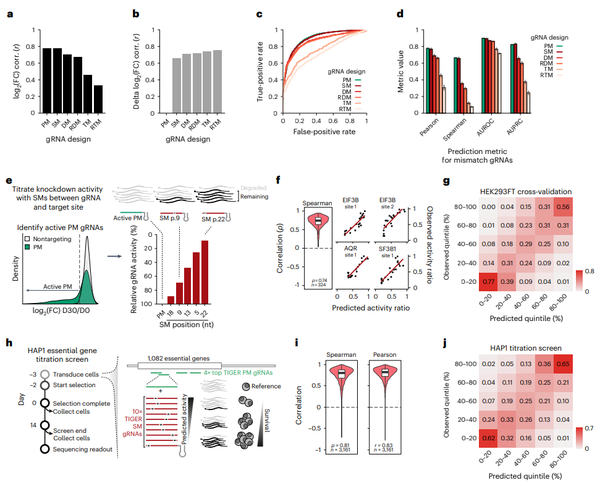 Nature子刊 | 通过深度学习预测RNA靶向CRISPR工具的靶标和脱靶活性 - 知乎